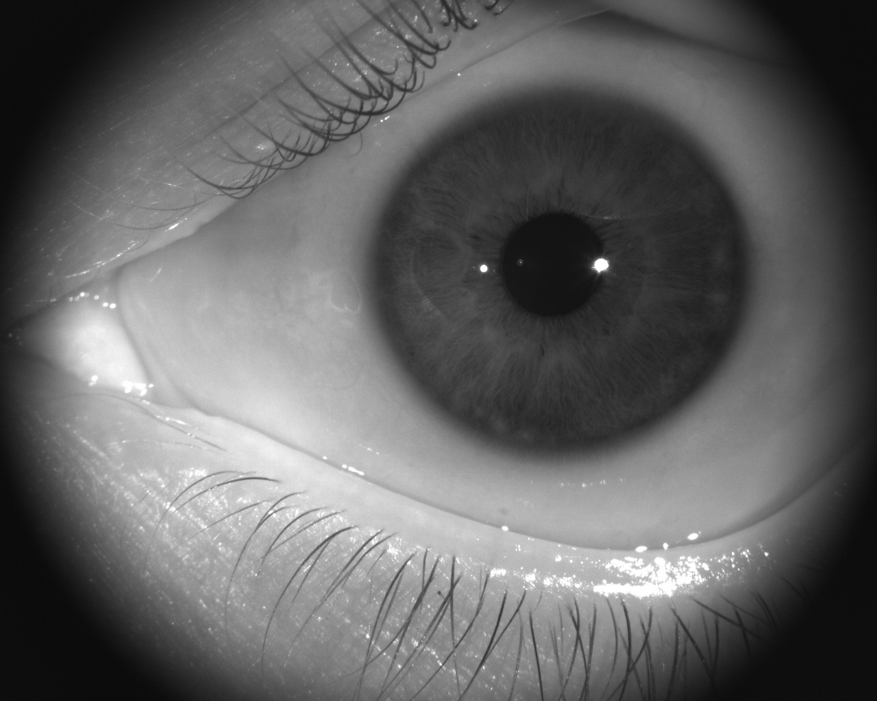 TestWorkSpace (testworkspace-fesdf) - Roboflow Universe