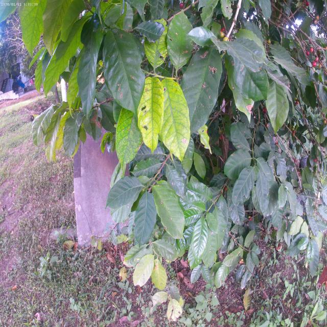 Gald - Roboflow Universe