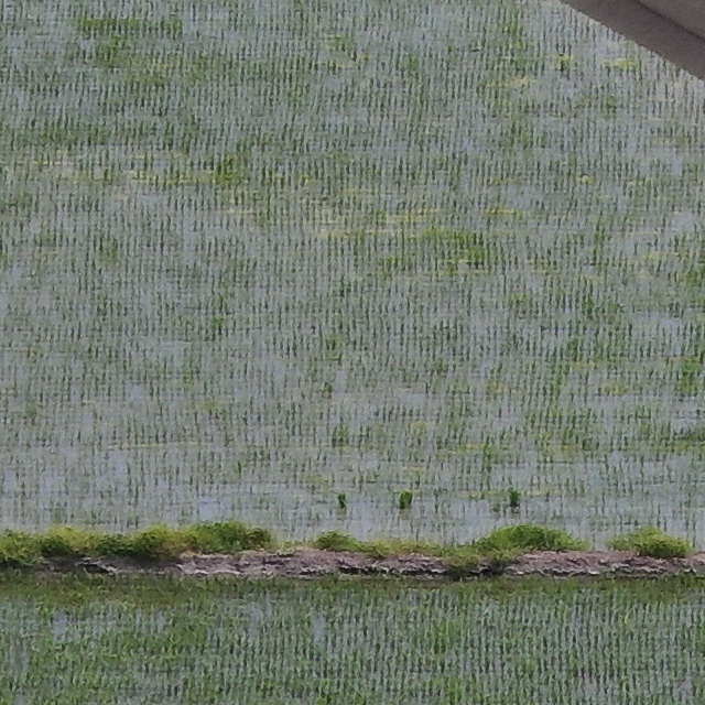 Wind Turbine Object Detection Dataset By Beijing University