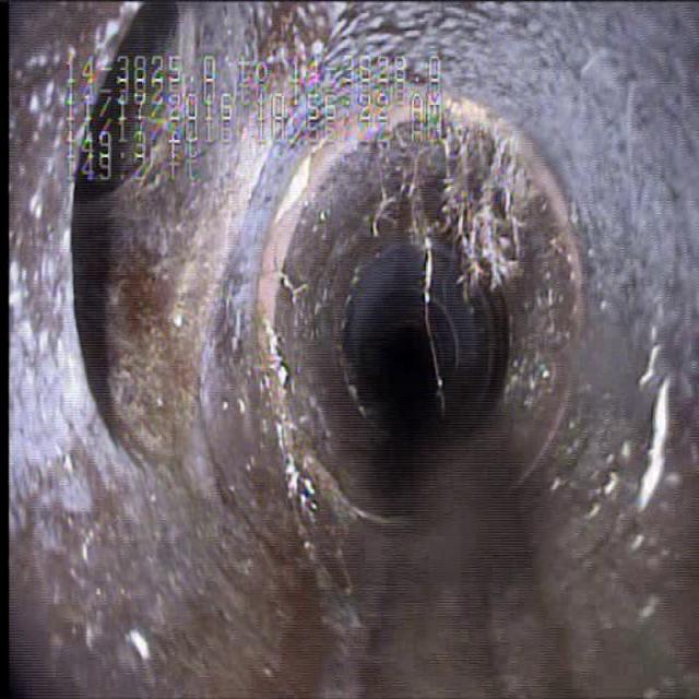 Pipe_root Object Detection Dataset by pipe defects detection