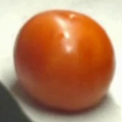 tomato Object Detection Model by testveg