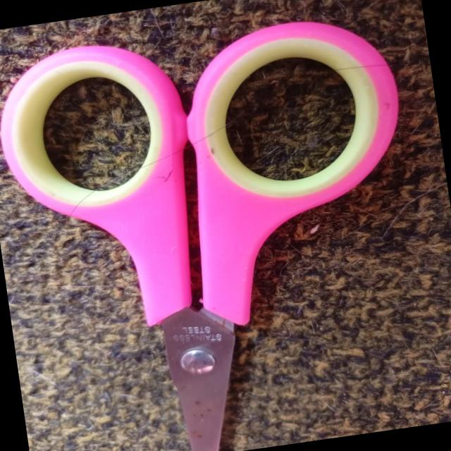 Project Object Detection Dataset and Pre-Trained Model by Haha