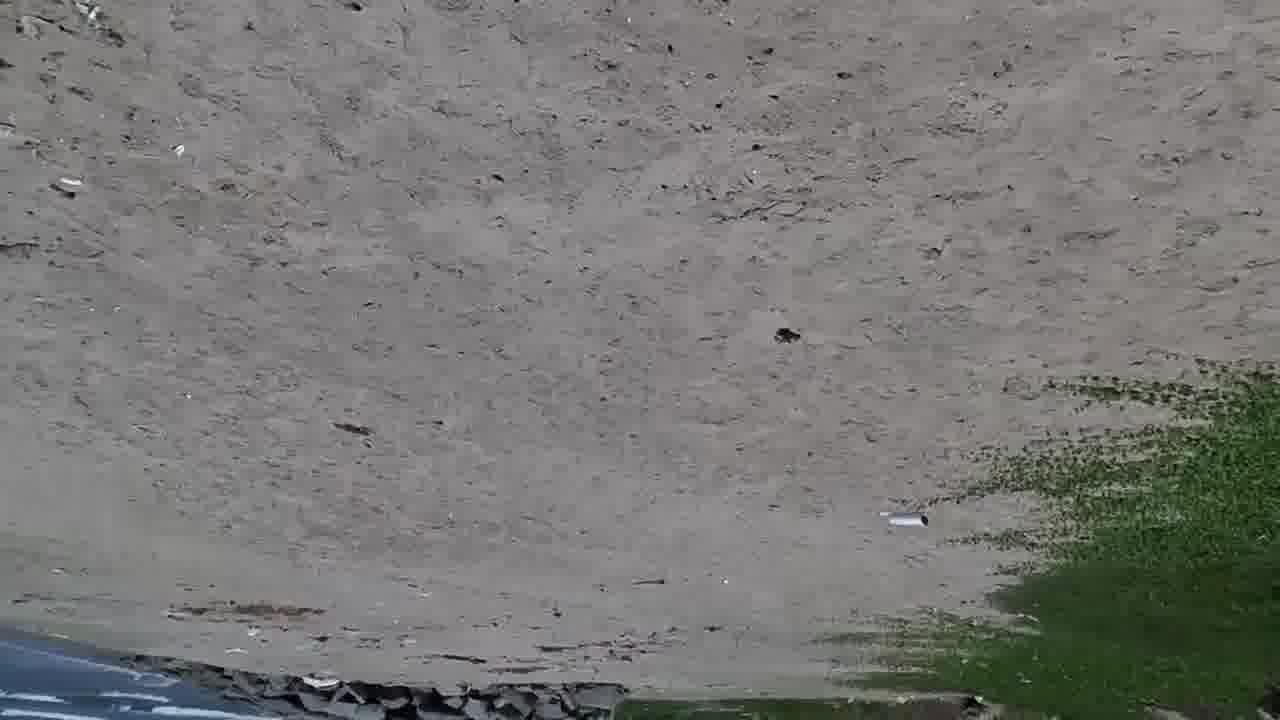 Ocean Unity Object Detection Model by Projects