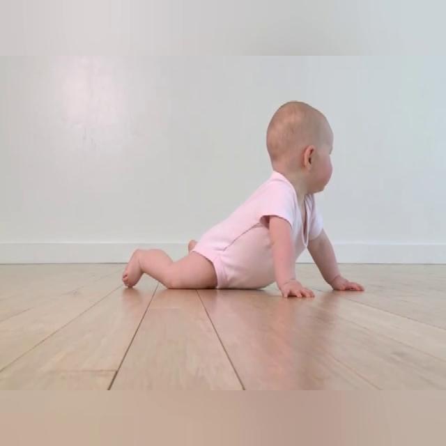 Infant Detection Only Object Detection Dataset by Internship