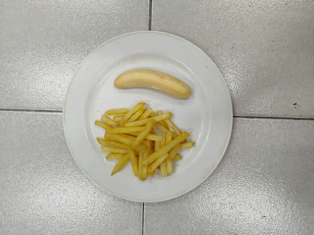 Plate Instance Segmentation Dataset by bytemi