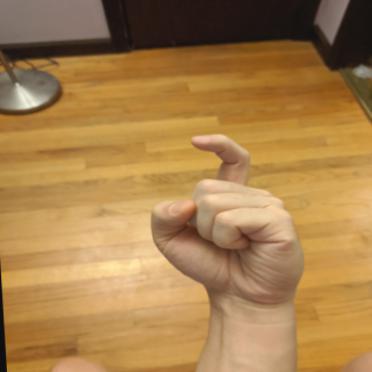 palm_detection Object Detection Dataset by Palm