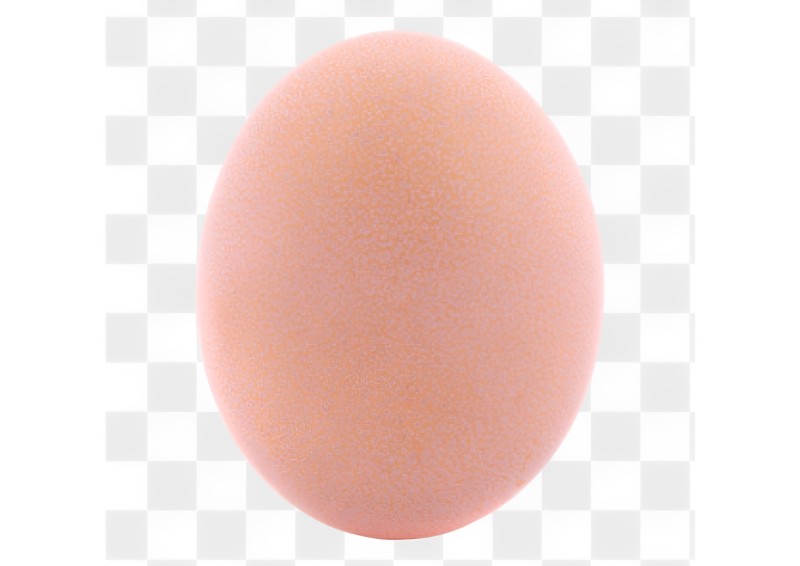 Top Eggnormal Datasets and Models | Roboflow Universe