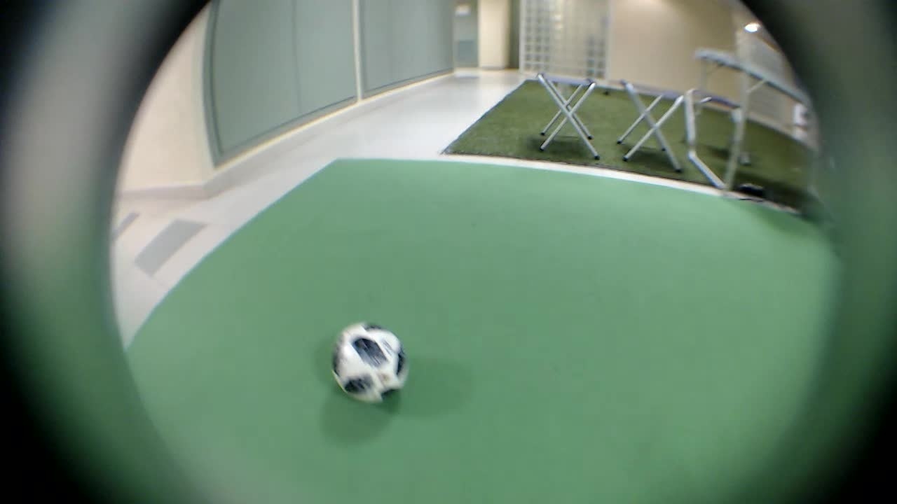 soccer ball Object Detection Dataset by predictor