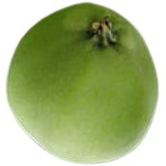 apple Object Detection Dataset and Pre-Trained Model by bbs-b