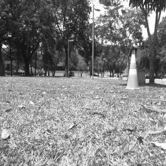 cone Object Detection Dataset by Ai4safety