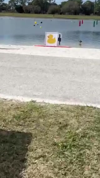 duck Object Detection Model by duck