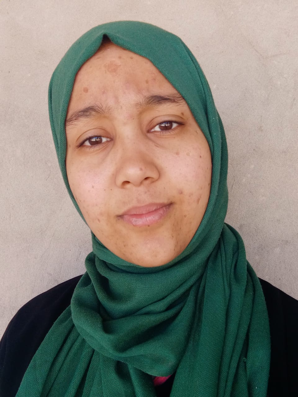 PFE Hadil et Oumayma Object Detection Dataset and Pre-Trained Model by PFE