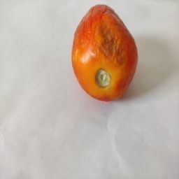 Tomato Object Detection Dataset by projects