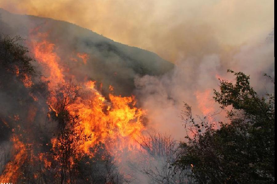 smoke and fire Object Detection Dataset by vietanhdz