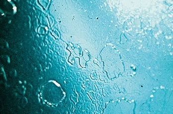 car paint surface defect Classification Dataset by politeknik sultan ...