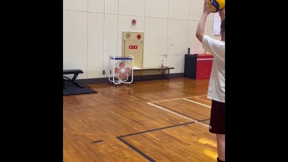 volleyball 頑張る Object Detection Model by volleyball