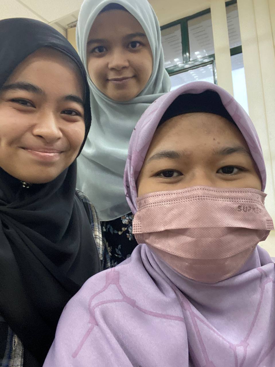 How to Use the Face Detector - masked and unmasked Object Detection API