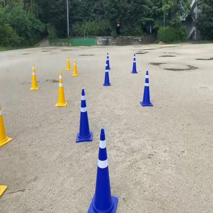 Ace (ace-kdcay) - Roboflow Universe