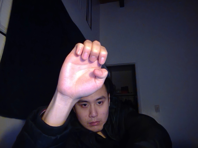 Hand Gesture Recognition Object Detection Dataset And Pre Trained Model
