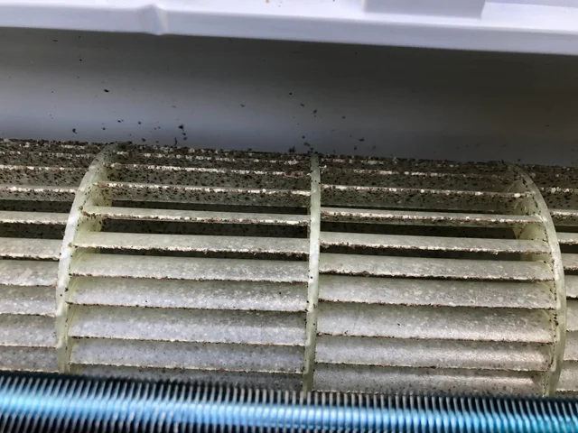 split Object Detection Dataset by AIfungus