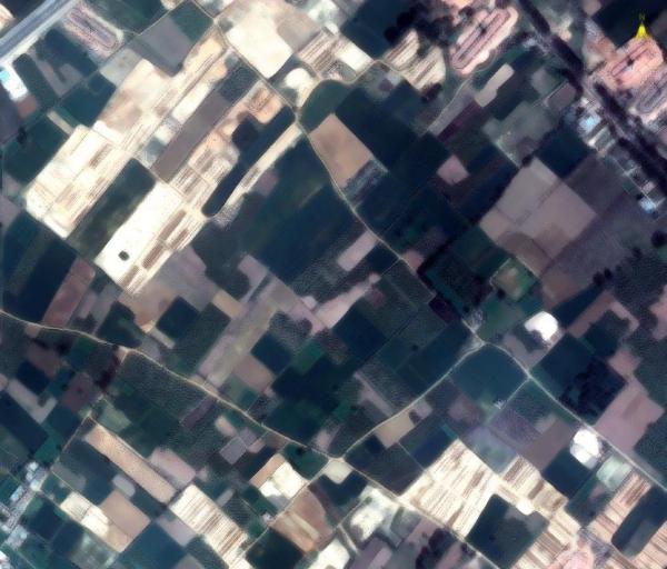 Summer Project Object Detection Dataset by ananya