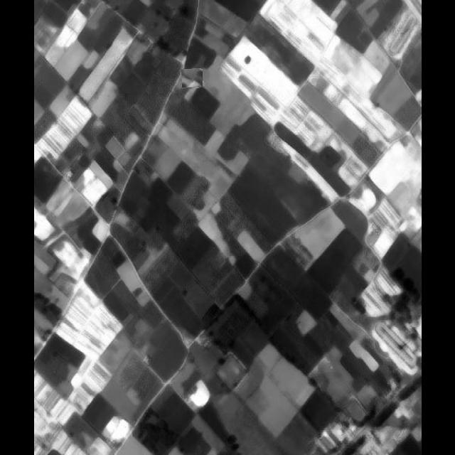 Yolov8 Object Detection Dataset and Pre-Trained Model by ananya