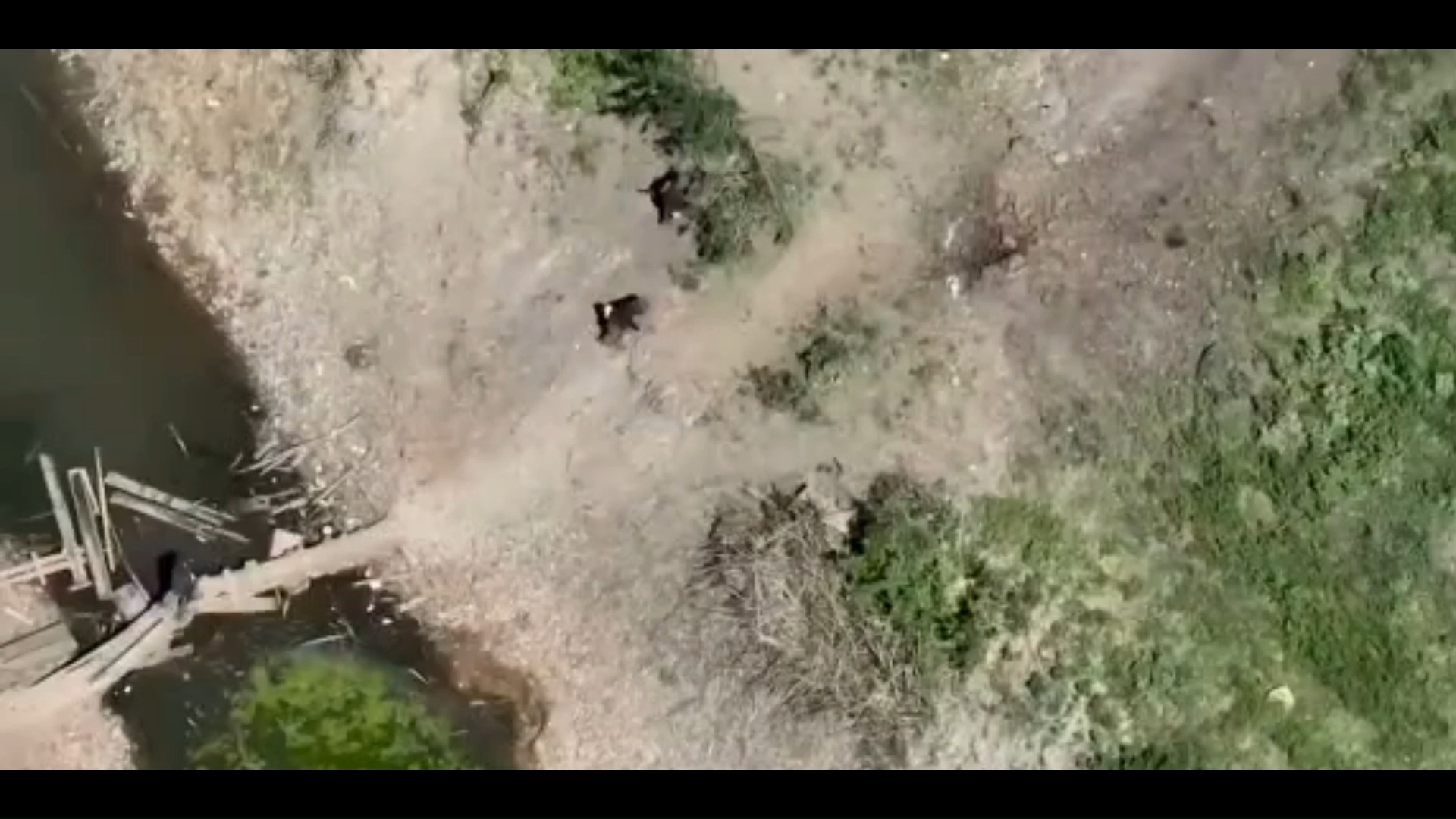 Object Dance Object Detection Model by AI Base