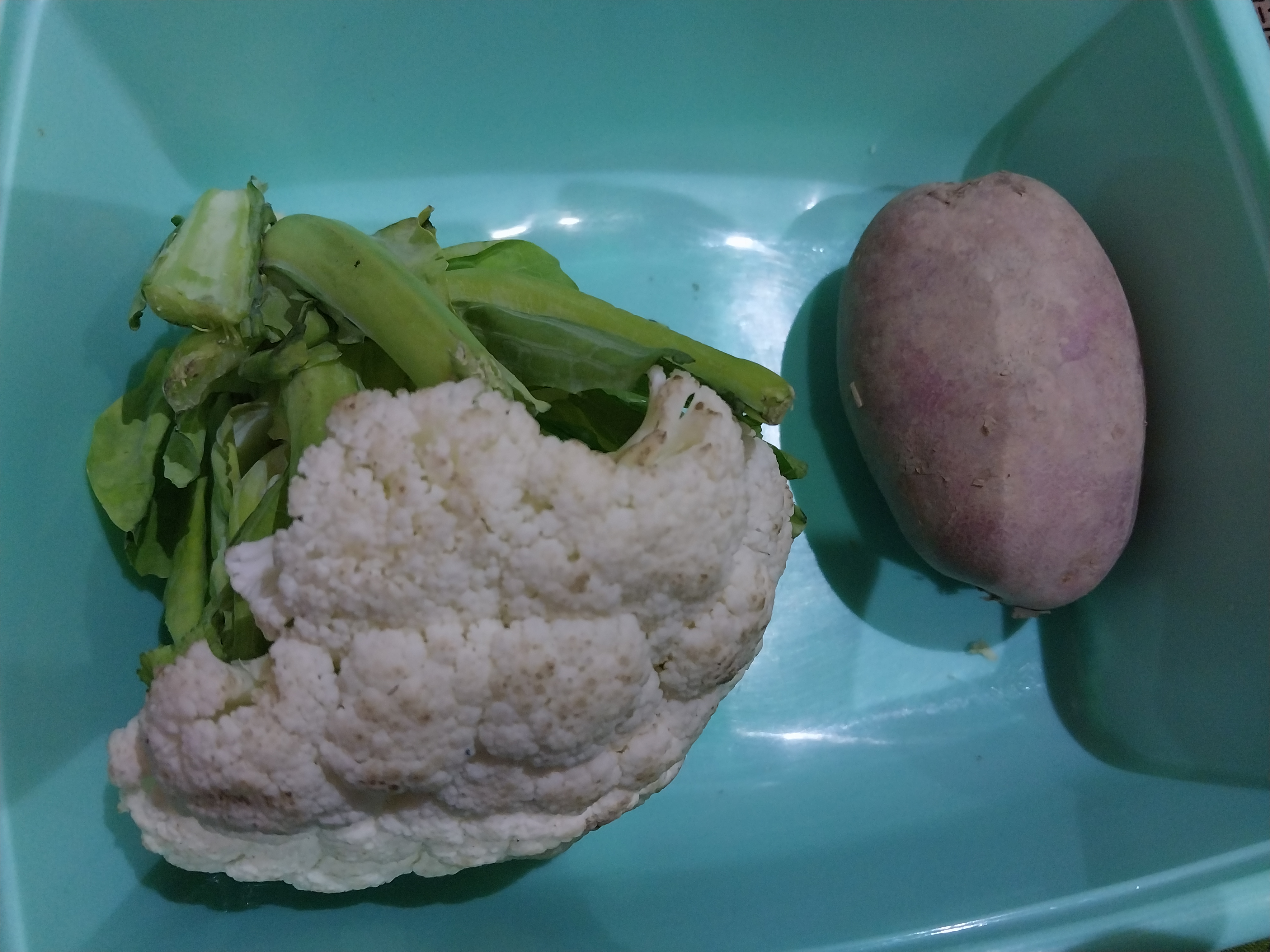 vegetable_dataset Object Detection Model by datalabelingnonvegetables