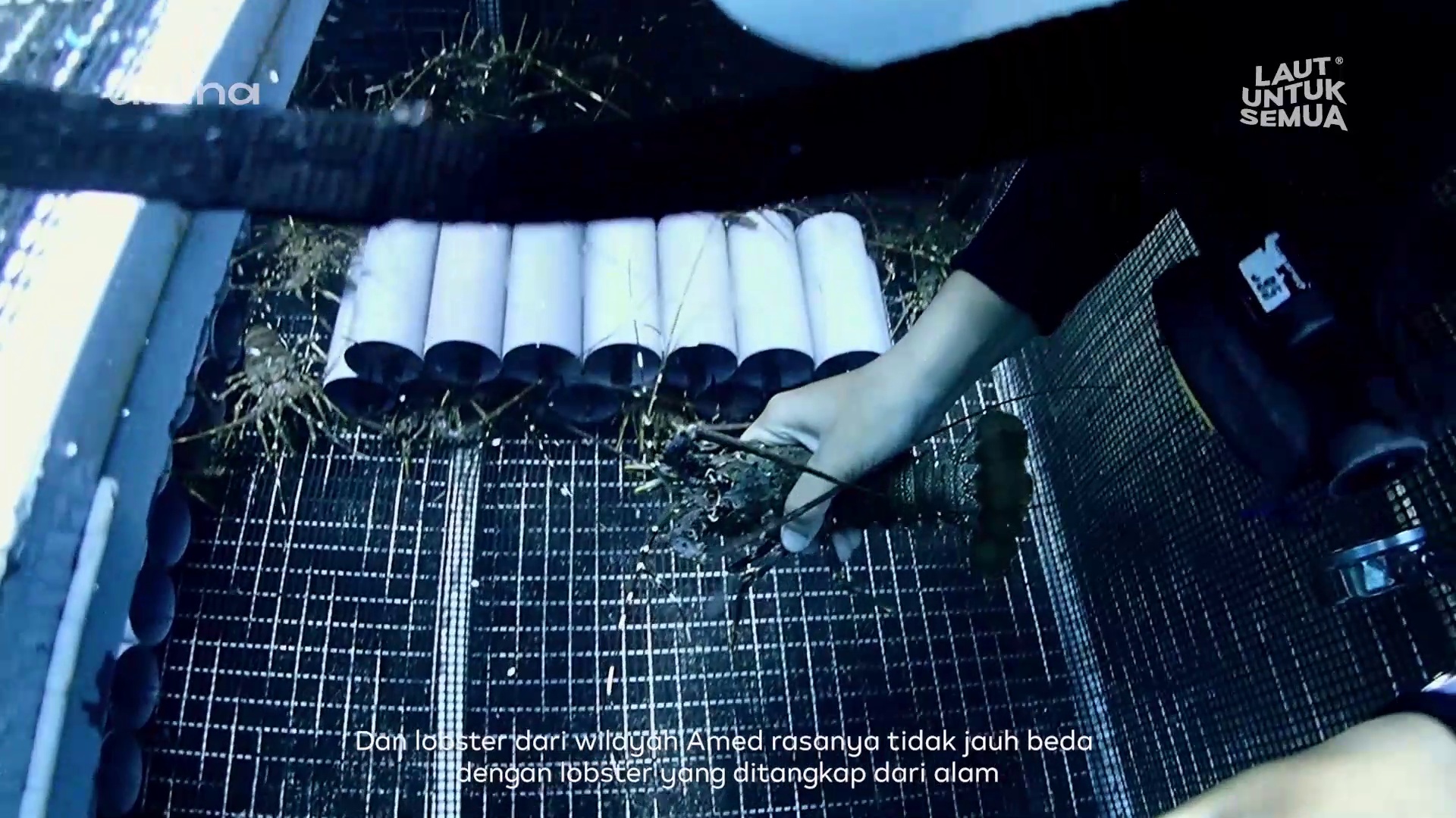 Tugas Akhir (tugas-akhir-hinyf) - Roboflow Universe