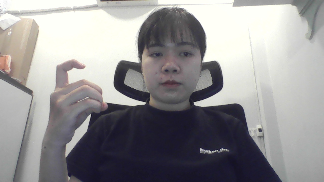 How to Use the VIETNAM SIGN LANGUAGE Object Detection API