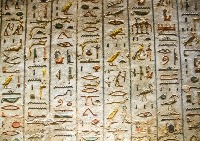 image segmentation task - Roboflow Universe