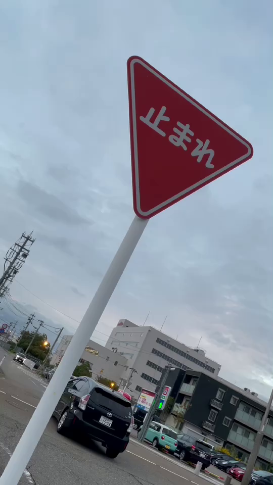 stop Object Detection Dataset by MURATA ERI