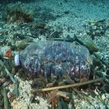 Underwater Plastic Segmentation Instance Segmentation Model by Underwater Plastic Detection