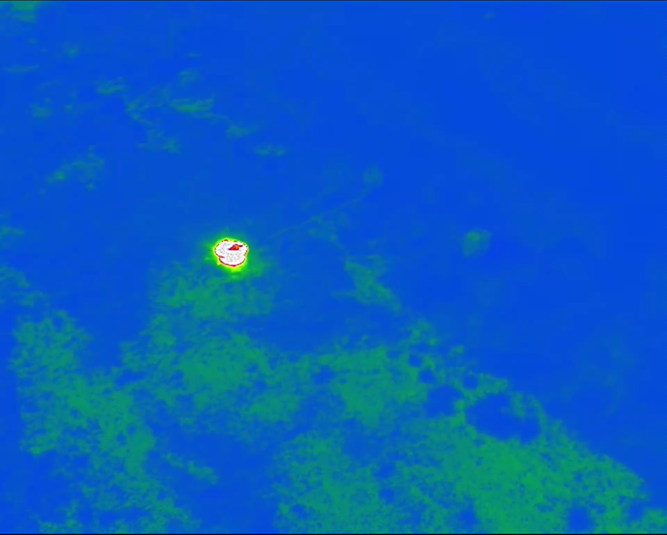 Fire in IR Object Detection Model by IRfire