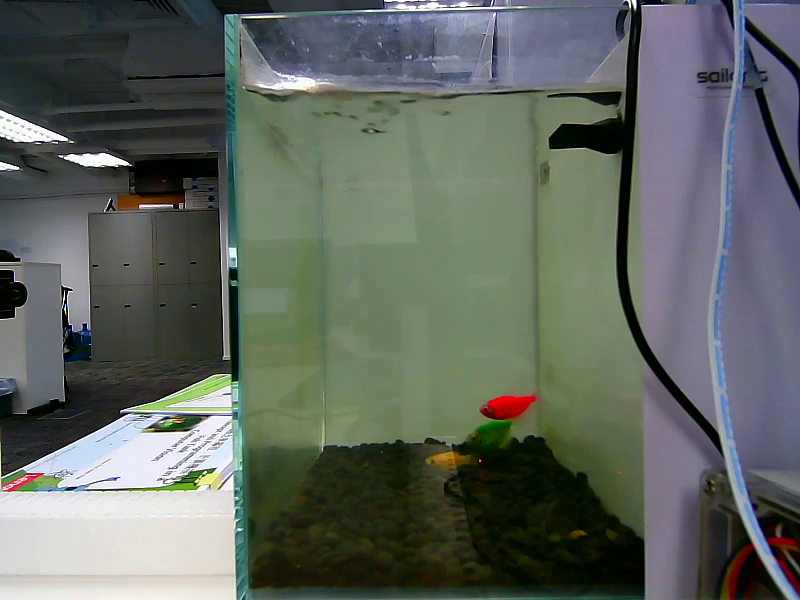 Rcelis - Roboflow Universe