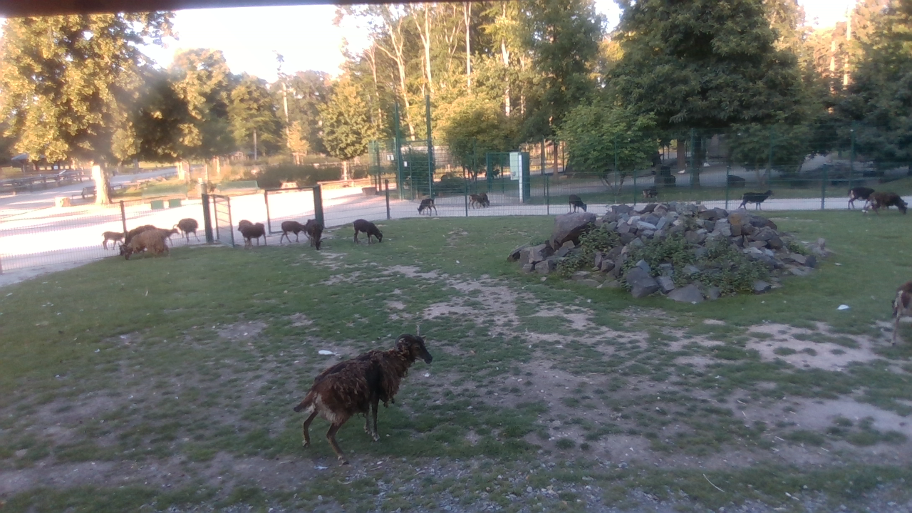 Scarecrow (scarecrow-skyse) - Roboflow Universe