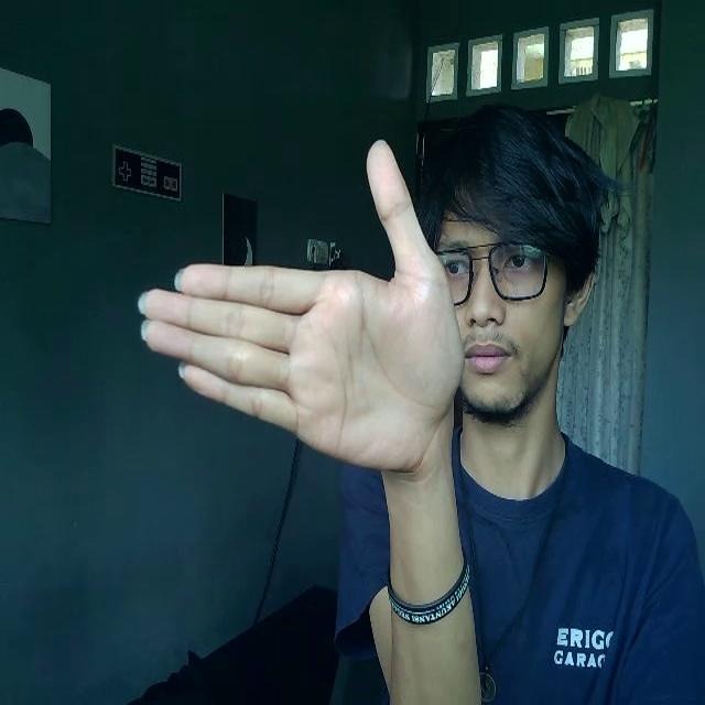 Hand Gesture 640 x 640 Object Detection Dataset by Rafi Aziizi Muchtar