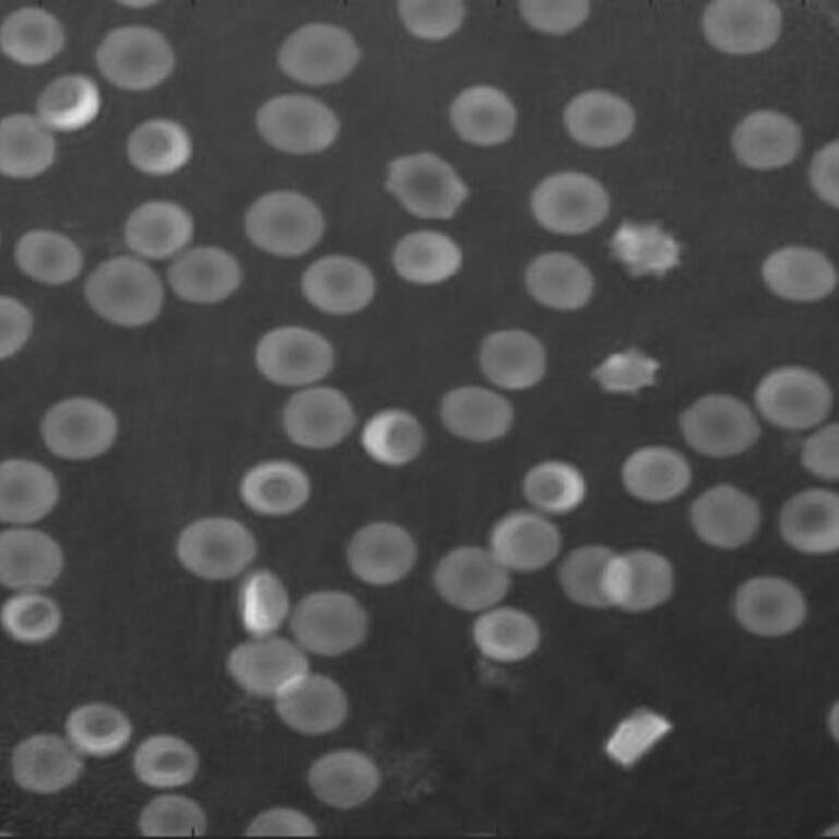 Overlapping Object Detection Dataset And Pre Trained Model By School