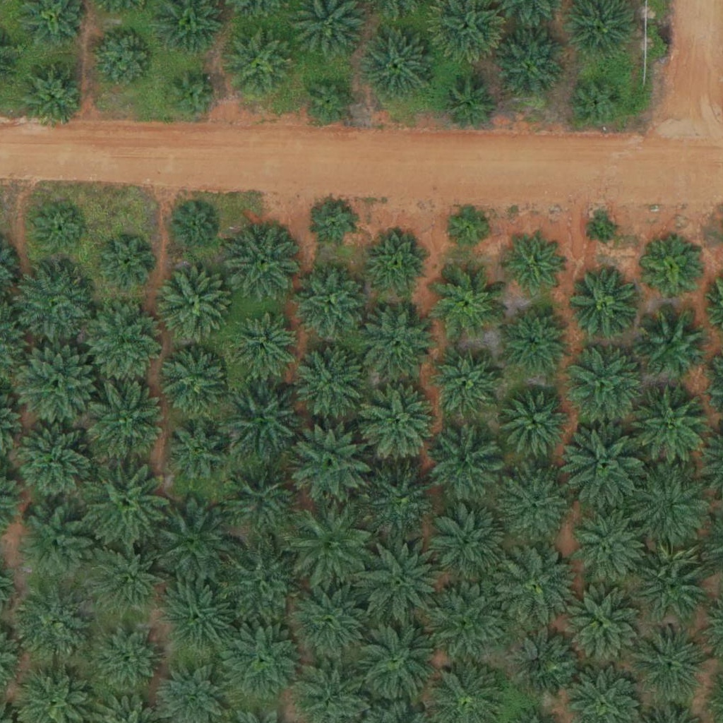 uav palm data Object Detection Dataset by class