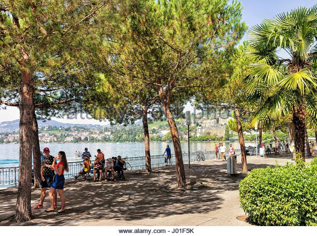 weyo (weyo-3ejnh) - Roboflow Universe