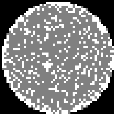 Edge_Ring Object Detection Dataset by Wafer Defect