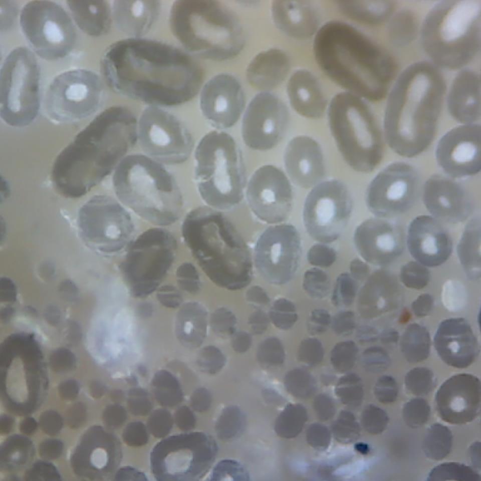 FiberMult_v1_parte2_color Instance Segmentation Dataset by FIBERMULT