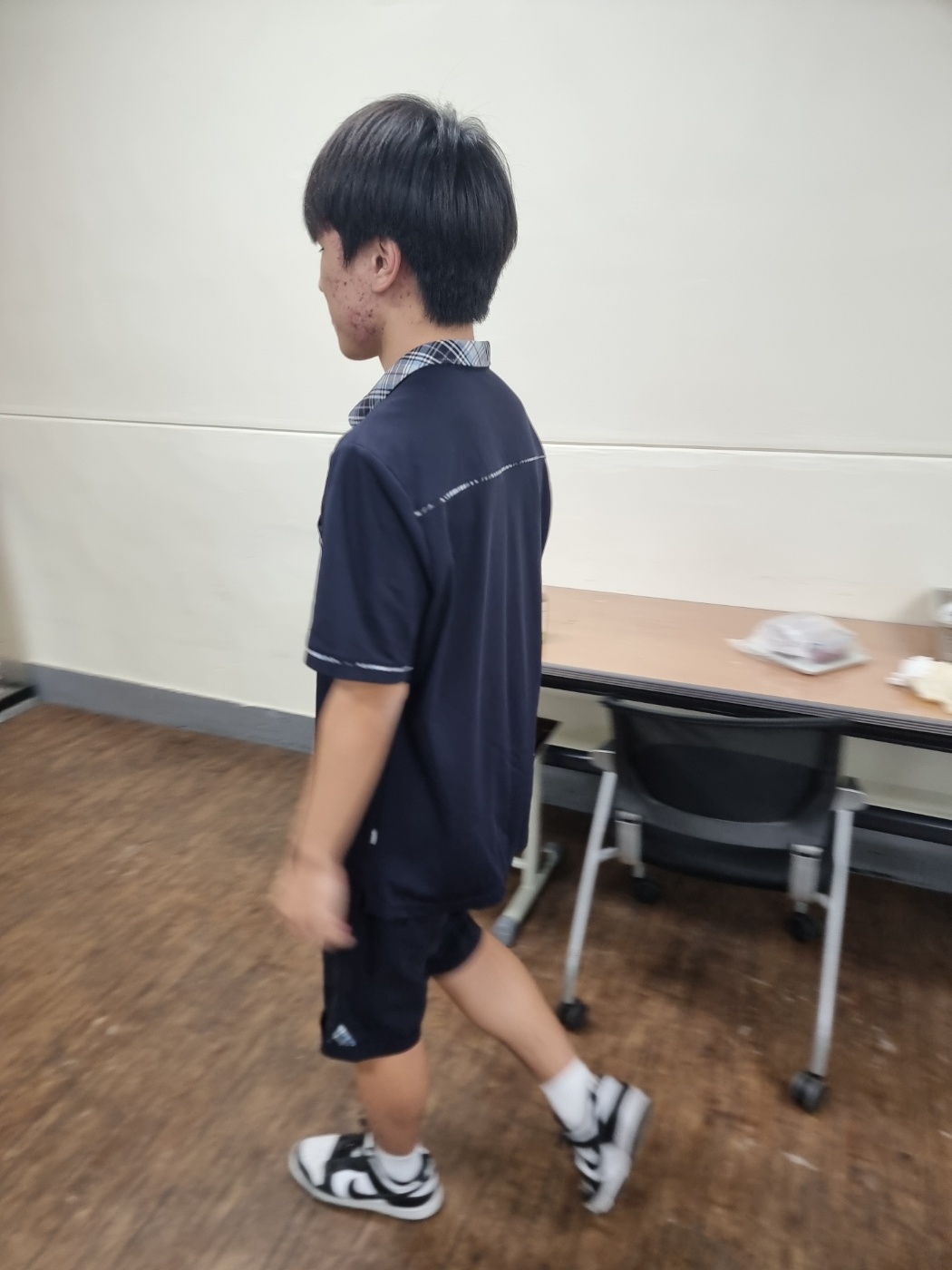 uniform Object Detection Model by uni