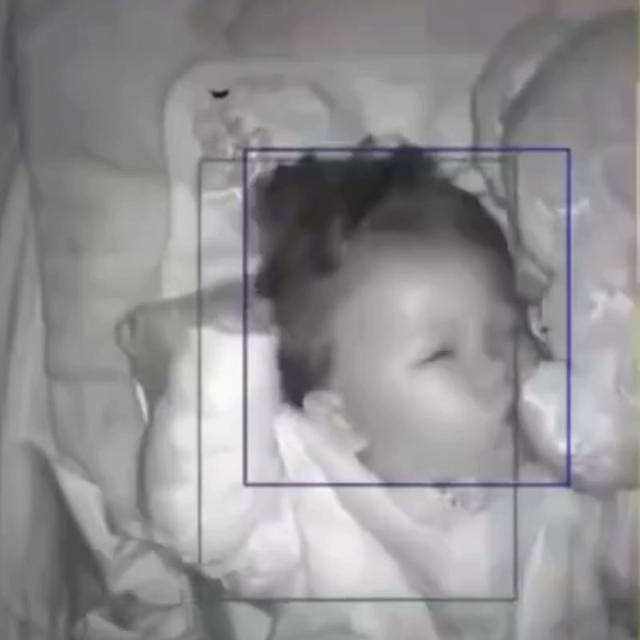 Vomitting Child Object Detection Dataset by Vomitting