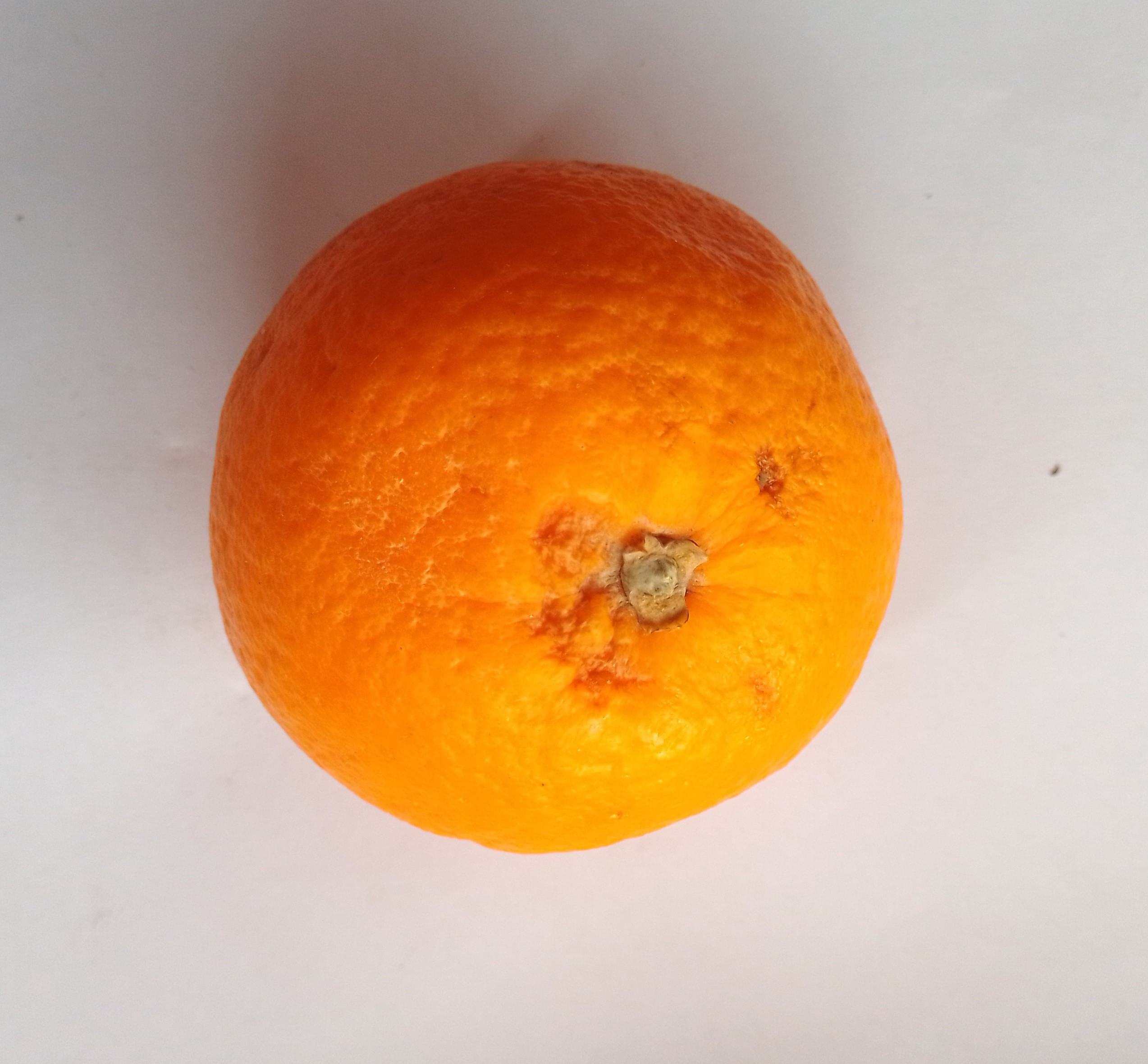 Guava Ripeness Classification Dataset and Pre-Trained Model by Lakna ...