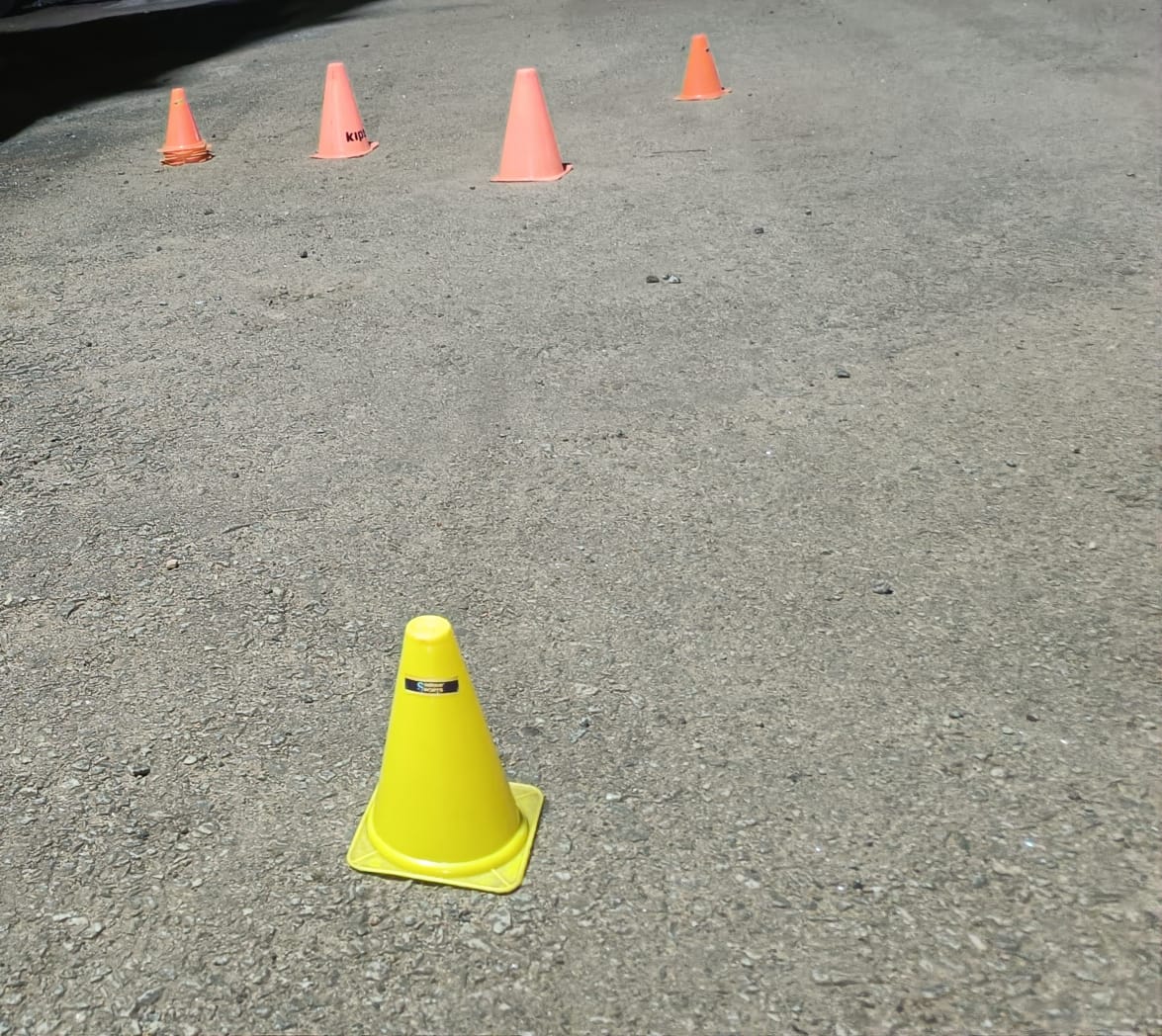 FMDV Cones Dataset Object Detection Dataset and Pre-Trained Model by FMDV