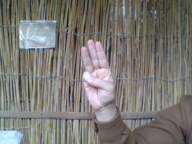 Sign language Object Detection Model by Graduation Project
