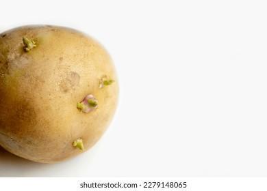 Sprouted potatoes Object Detection Dataset and Pre-Trained Model by project-vkokc