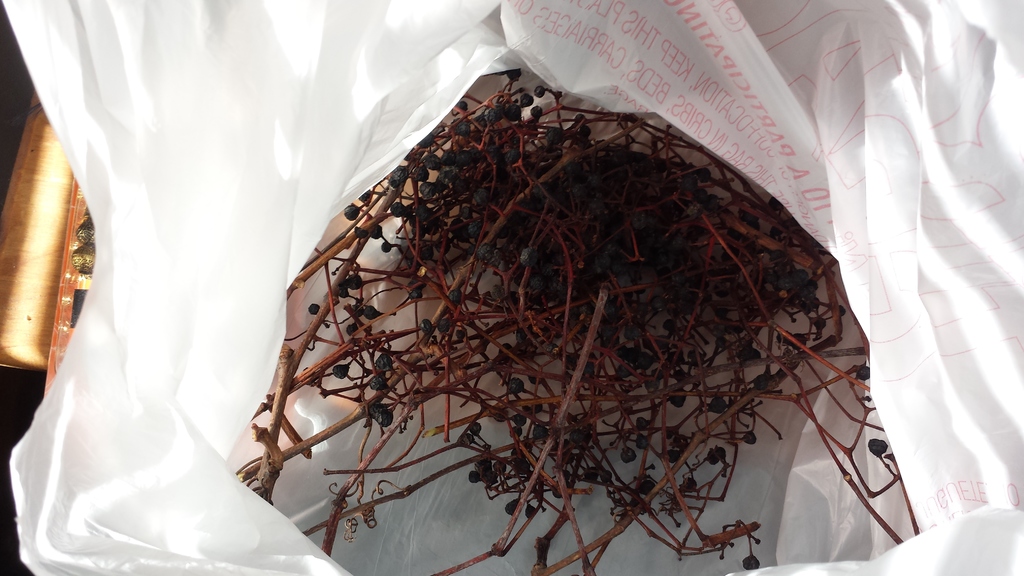 Plastic Bag Detection Object Detection Dataset By Myworkspace