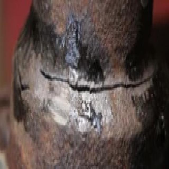 Weld Classifier Object Detection Dataset by weld defects